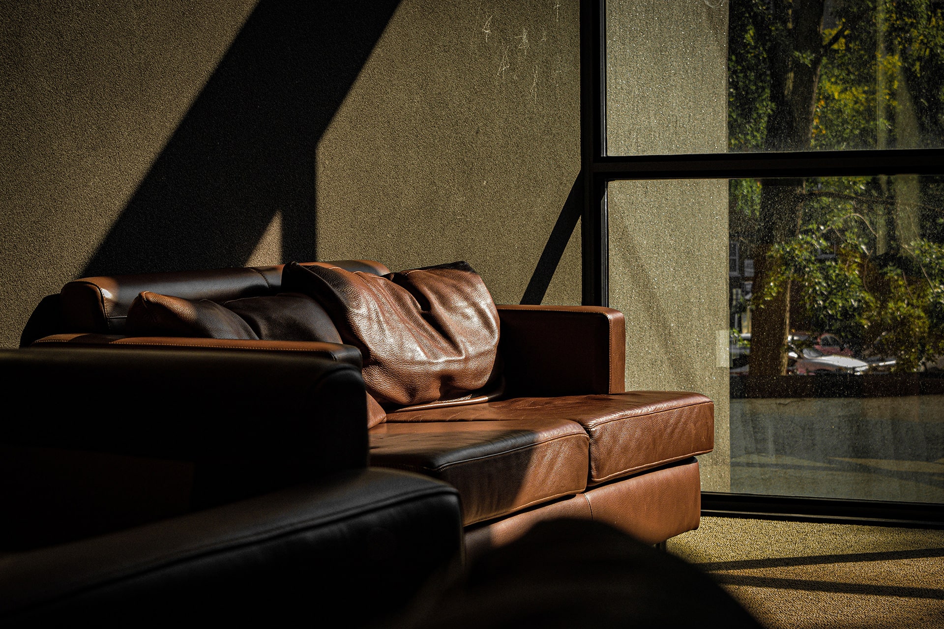 Luxurious house project - Wood Pecker România